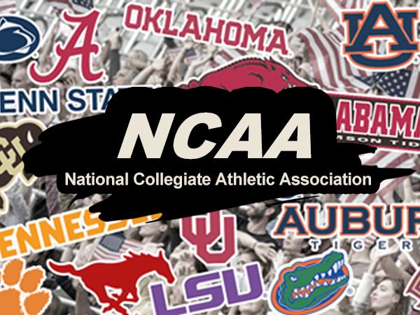 Montana West NCAA Clear Bag for Stadium Events Handbags for Sports Fans ...