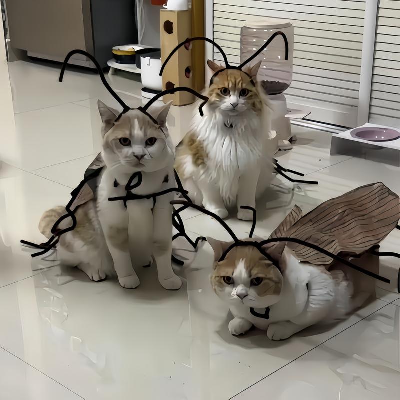 Cat and cockroach clothes DIY Cat Costume Craft Funny Pet Cosplay Gift ...