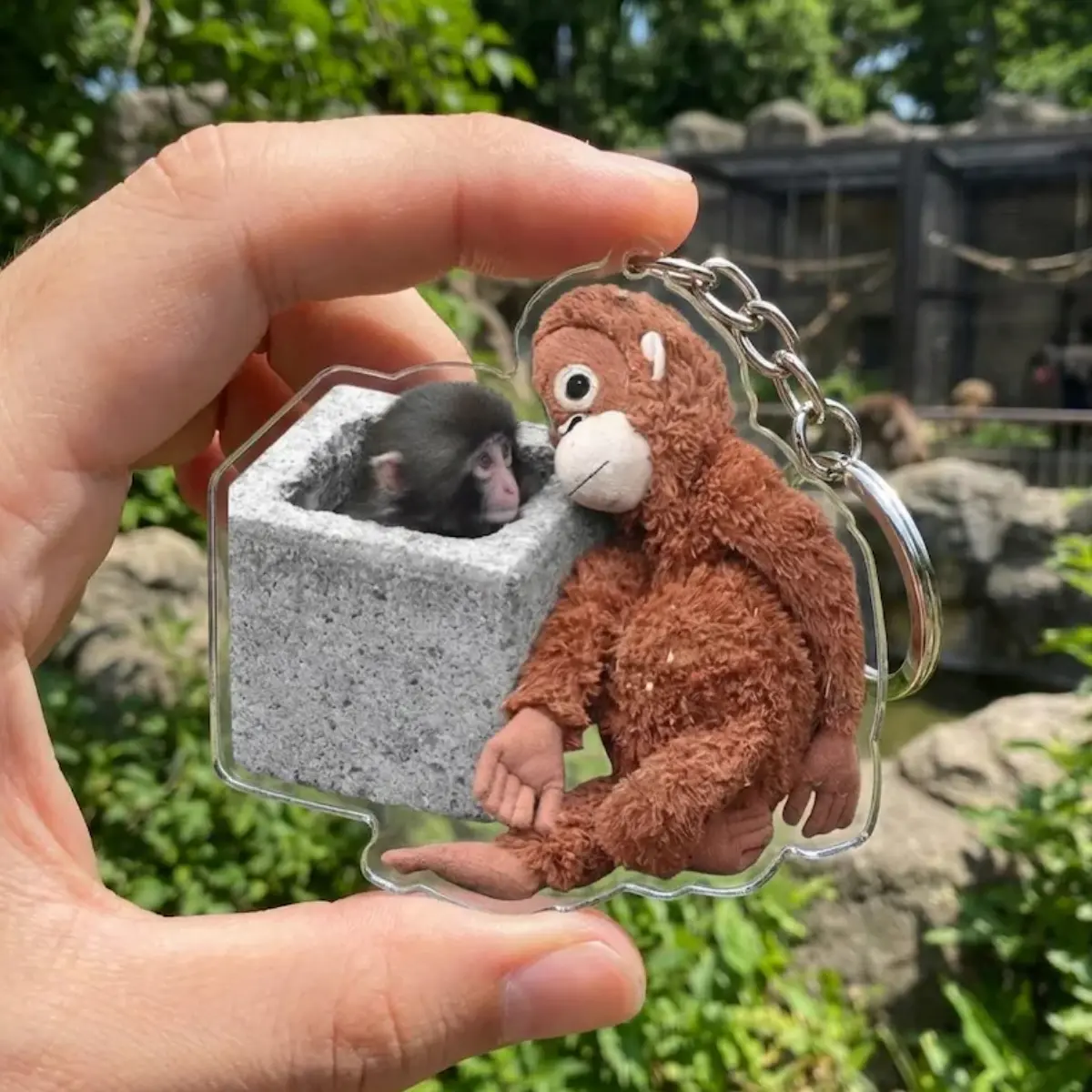 Viral Punch Monkey Acrylic Keychain, Cute Baby Monkey with Plush Toy ...