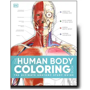 USED-Study Guide for the Human Body in Health and Illness by Herlihy ...