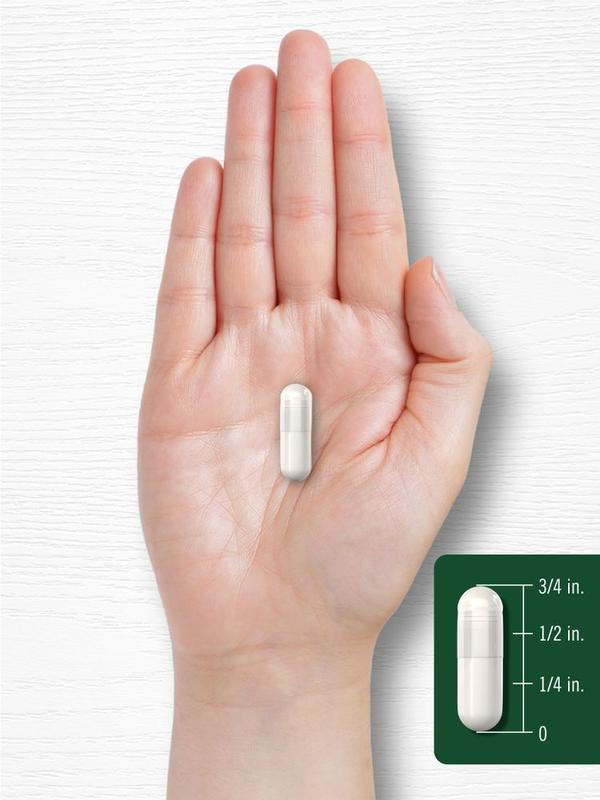 Carlyle Celery Seed Extract Capsules | 2000mg | 240 Count | Traditional ...