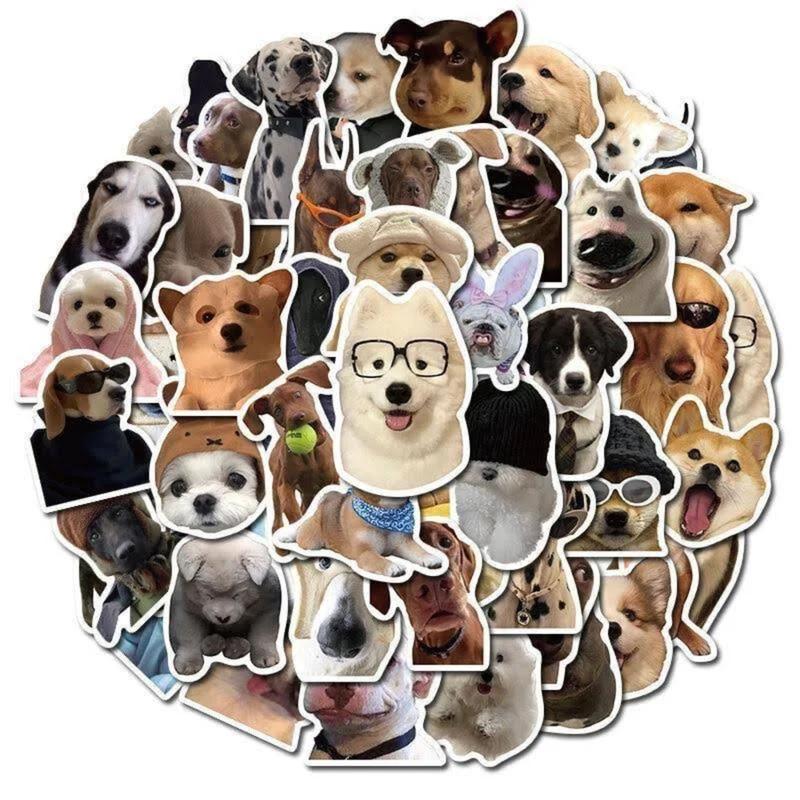 [Random 5 Stickers] Cute Cat & Dog Stickers, Meme Stickers - TikTok Shop