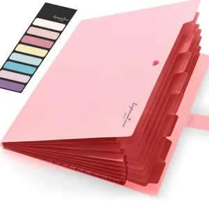 pink folders - TikTok Shop