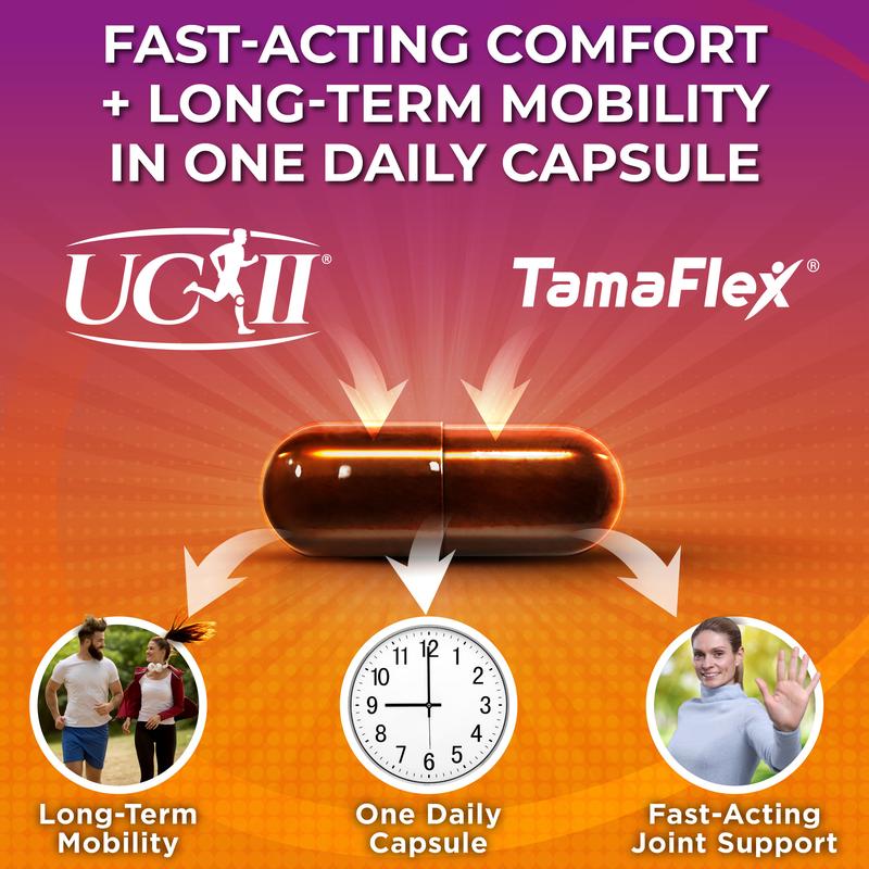 Joint Support Supplement with UC-II & TamaFlex – Undenatured Type II ...
