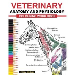 How to Start a Fashion Brand: Step-by-Step Guide to Launch Your Fashion ...