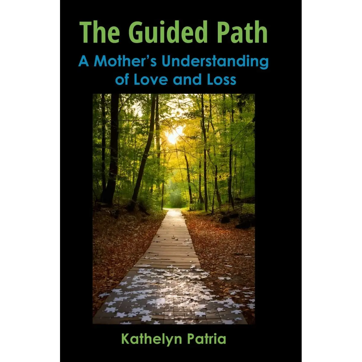 The Guided Path: A Mother's Understanding of Love and Loss Paperback ...