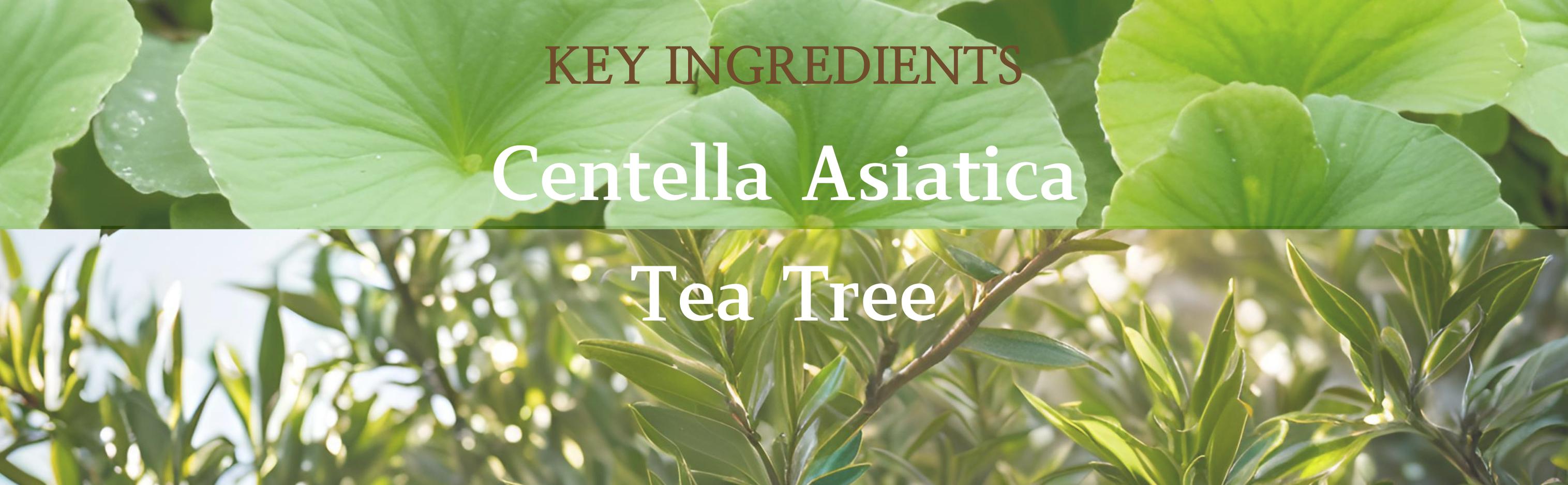 [APLIN Official] Pink Tea Tree Synergy Serum - Skin Moisturizer with ...