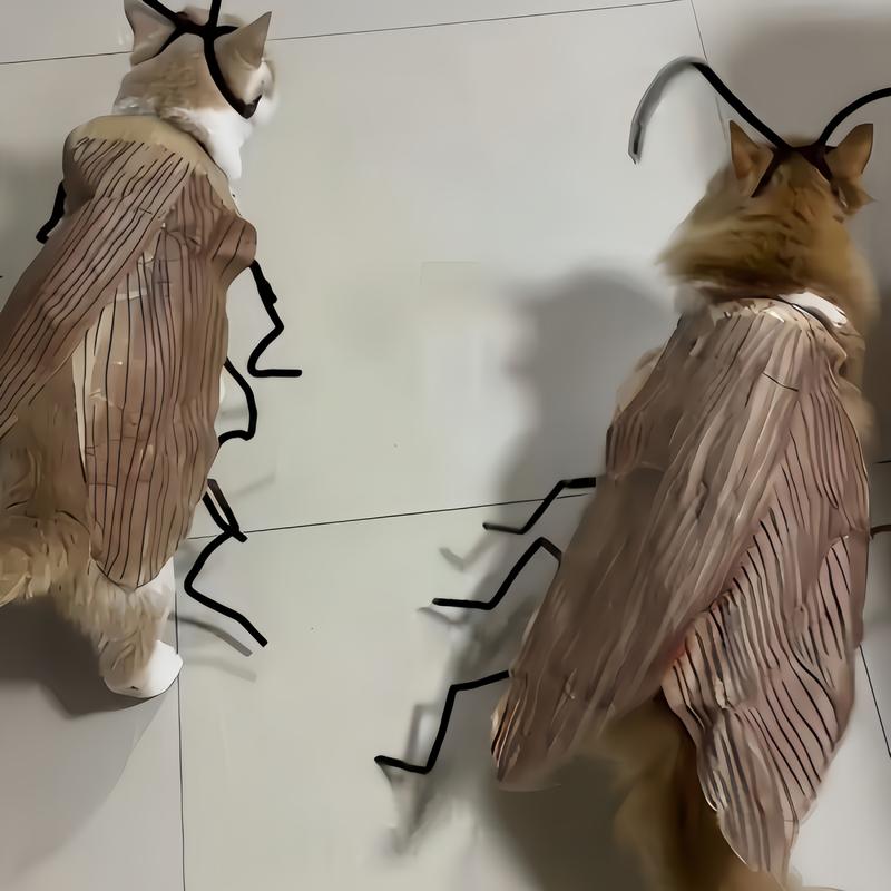 Cat and cockroach clothes DIY Cat Costume Craft Funny Pet Cosplay Gift ...